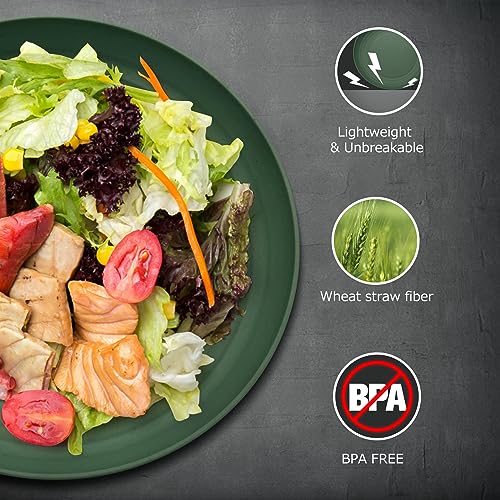 Yemyep Wheat Straw Plates 9 Inch Dinner Plates Set of 8, Microwave&Dishwasher Safe, Unbreakable Plastic Plates, Reusable, Lightweight Plates for kitchen, camping, Party(Beige)