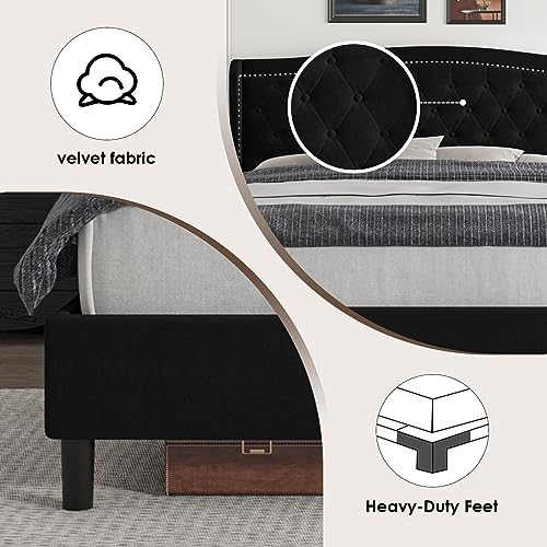 HOSTACK Modern Upholstered Platform King Bed Frame, Black, Velvet Fabric