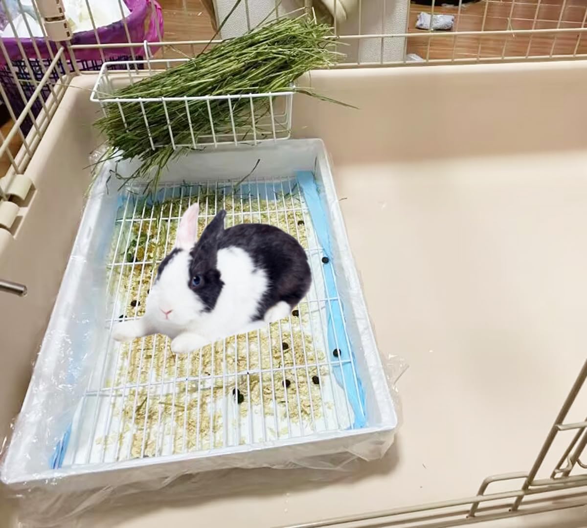 2PCS Rabbit Hay Feeder, Metal Bunny Hay Rack Rabbit Cage Hanging Hay Holder Hay Rack Basket for Guinea Pigs Ferret Chinchilla Small Animal Cage Accessories (White)