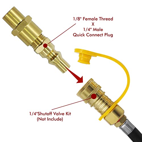 MENSI 1/8'' FNPT x 1/4'' Male Quick Connect Plug Propane Quick Disconnect Conversion Kit Adapter for Weber Q 100, 1000, 200, 2000, 1200, 2200, Traveller and Portable Gas Grill Camper