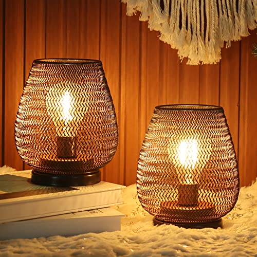 NEEDOMO Battery Operated Lamp LED Table Lamp, Set of 2 Metal Cage Cordless Lamps with Timer, Vintage Outdoor Lantern Lamp for Weddings Patio Shelf Living Room Indoors Outdoors Decor