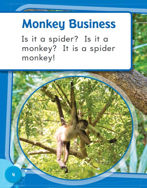 Teacher Created Materials 27329 Amazing Animals: Spider Monkeys: Place Value (Amazing Animals: Mathematics Readers)