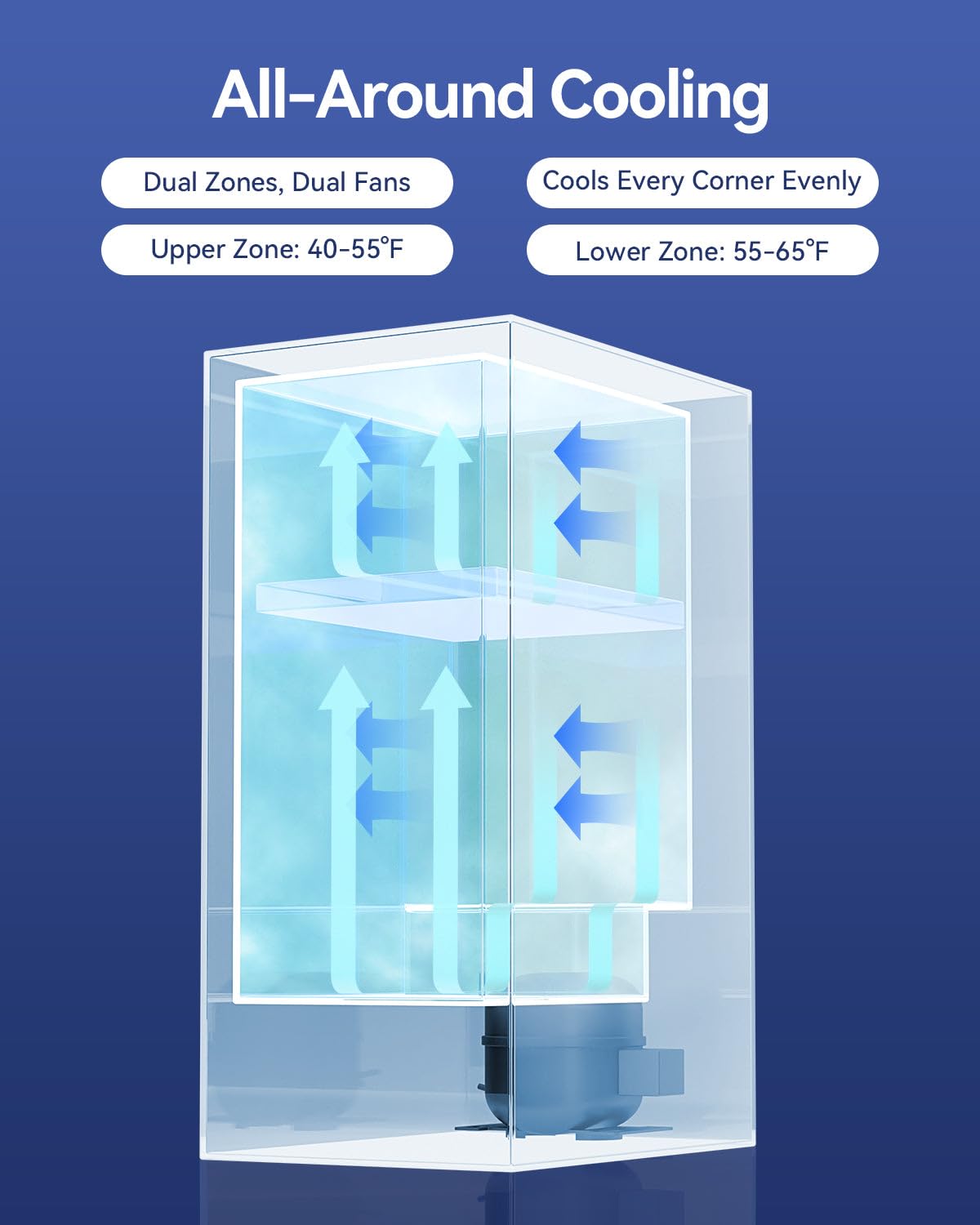 Plotanis 15 Inch Wine Fridge Dual Zone 28 Bottles Under Counter Wine Cooler Refrigerator Built-in or Freestanding with Glass Door Safety Lock
