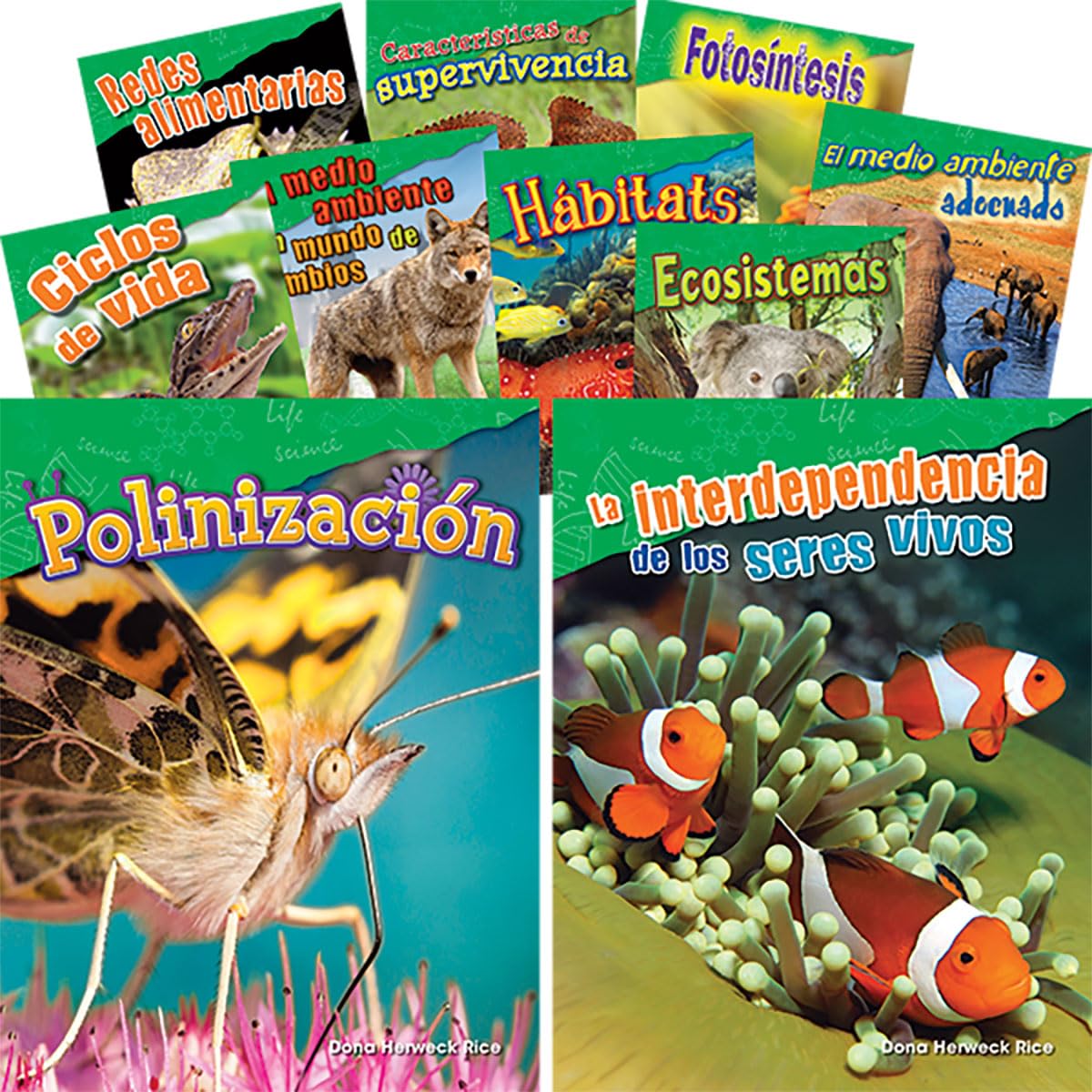 Let's Explore Life Science Grades 2-3 Spanish, 10-Book Set (Science Readers) (Spanish Edition)