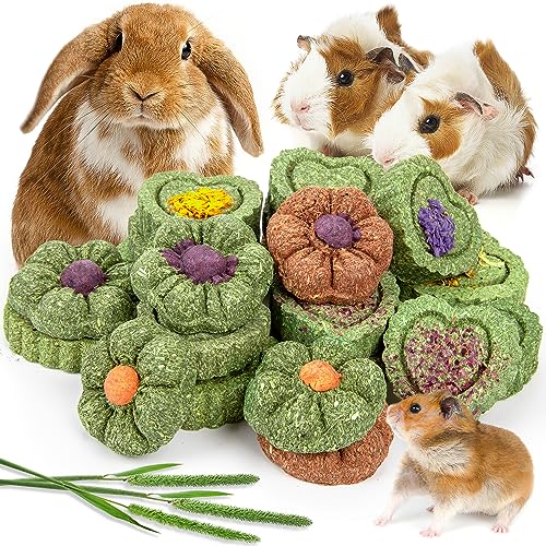 Sofier 14Pcs Timothy Hay Treats Rabbit Toys Bunny Toys Guinea Pig Toys Natural Chews for Teeth Handmade Rabbit Chews and Treats Chinchilla Rat Hamster Gerbil