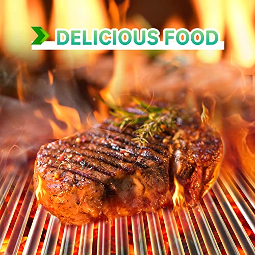 Folocy 19.25” Grill Grates Replacement for Nexgrill 720-0025, 720-0677, Charmglow 720-0234, 720-0289, 810-8500-S, Kenmore 122.16648900, Brinkmann 810-8501-S, 810-8502-S, Ducane 30400042, 30400043