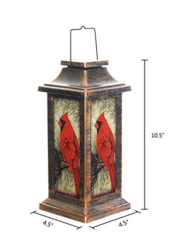Topadorn Hanging Solar Lantern Waterproof Portable Lamp Outdoor Garden Decorative LED Light, Red Bird,10"H