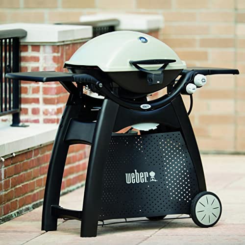 Weber Q 3200 Propane Gas Grill - Titanium