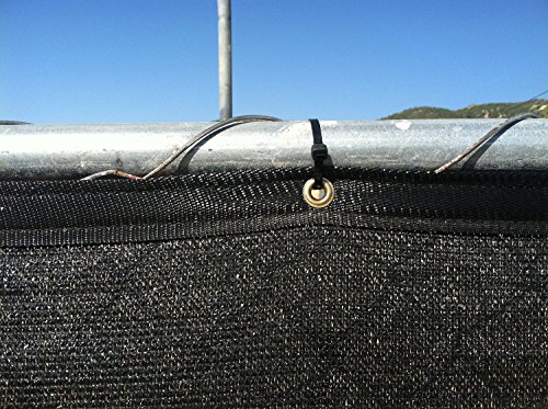 TruePower Privacy Fence Screen 6' Tall x 50'' Long - Black for Patio, Deck, Balcony, Backyard, Fence, Apartment Privacy