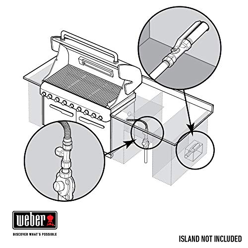 WEBER Summit S-660 Built-In Natural Gas Stainless Steel Grill (7460001)