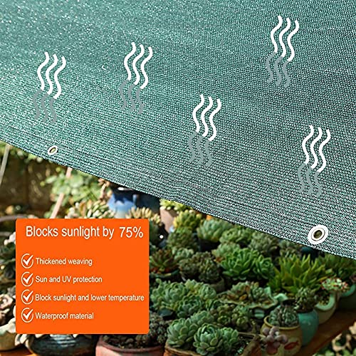 ALBN 75% Shade Netting Sunblock Shade Cloth Net Mesh Tarp HDPE UV-Resistant Protection Plants Flowers Outdoor Shade Screen, with Rope (Color : Green, Size : 2x4m)