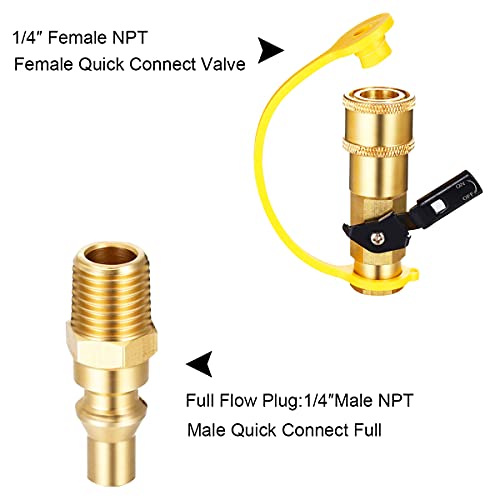 AutoRocking 1/4" Propane Quick Connect Adapter Assembly Kit, 1/4" Shutoff Valve and Full Flow Plug, with 3/8" Female Flare