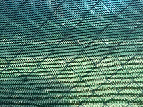 TruePower Privacy Fence Screen 5' Tall x 50'' Long - Green for Patio, Deck, Balcony, Backyard, Fence, Apartment Privacy