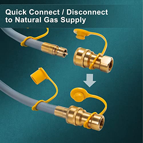 GASPRO 3/8" ID Natural Gas Hose, Low Pressure LPG Hose with Quick Connect, for Weber, Char-broil, Pizza Oven, Patio Heater and More, 12-Foot
