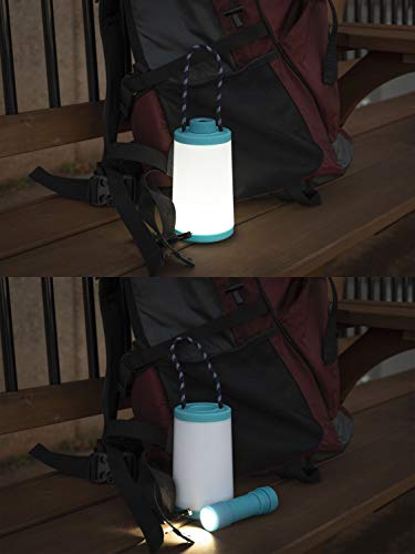 Enbrighten, Teal, 2 in 1 LED Combo Lantern, Flashlight, Task Light, Battery Operated, 200 Lumens, High/Low/Off, Table Lamp, Desk, Camping, Emergency, Storm, 57809
