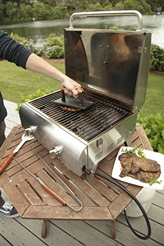 Lodge LPGI3 Cast Iron Reversible Grill/Griddle, 20-inch x 10.44-inch, Black & Cuisinart CGPR-221 Cast Iron Grill Press (Wood Handle), Weighs 2.1-pounds