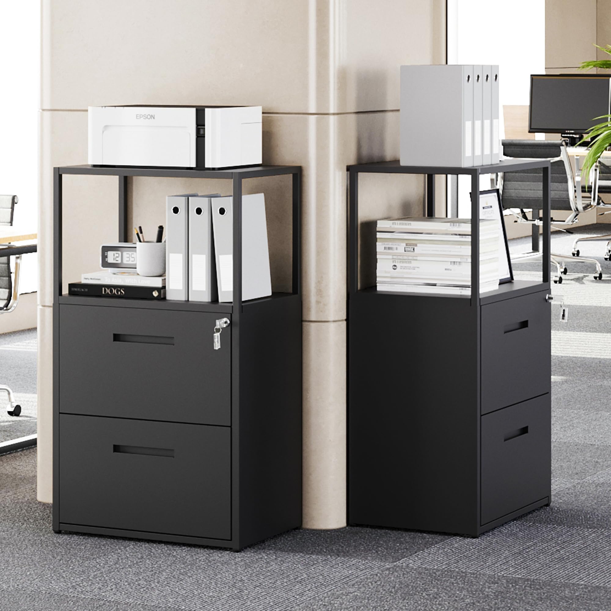 Letaya 2 Drawer Lateral File Cabinets with Lock,Metal Printer Stand Filing Organization Cabinets for Home Office,Hanging Files Letter/Legal/F4/A4 Size (Black)