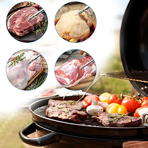 Meat Injector Gun Pump with Hose, Stainless Steel Electric Marinade Injector 70W Meat Syringe Double Gun with 10 Needles for Roast Turkey, Pork, Beef (Double Gun)