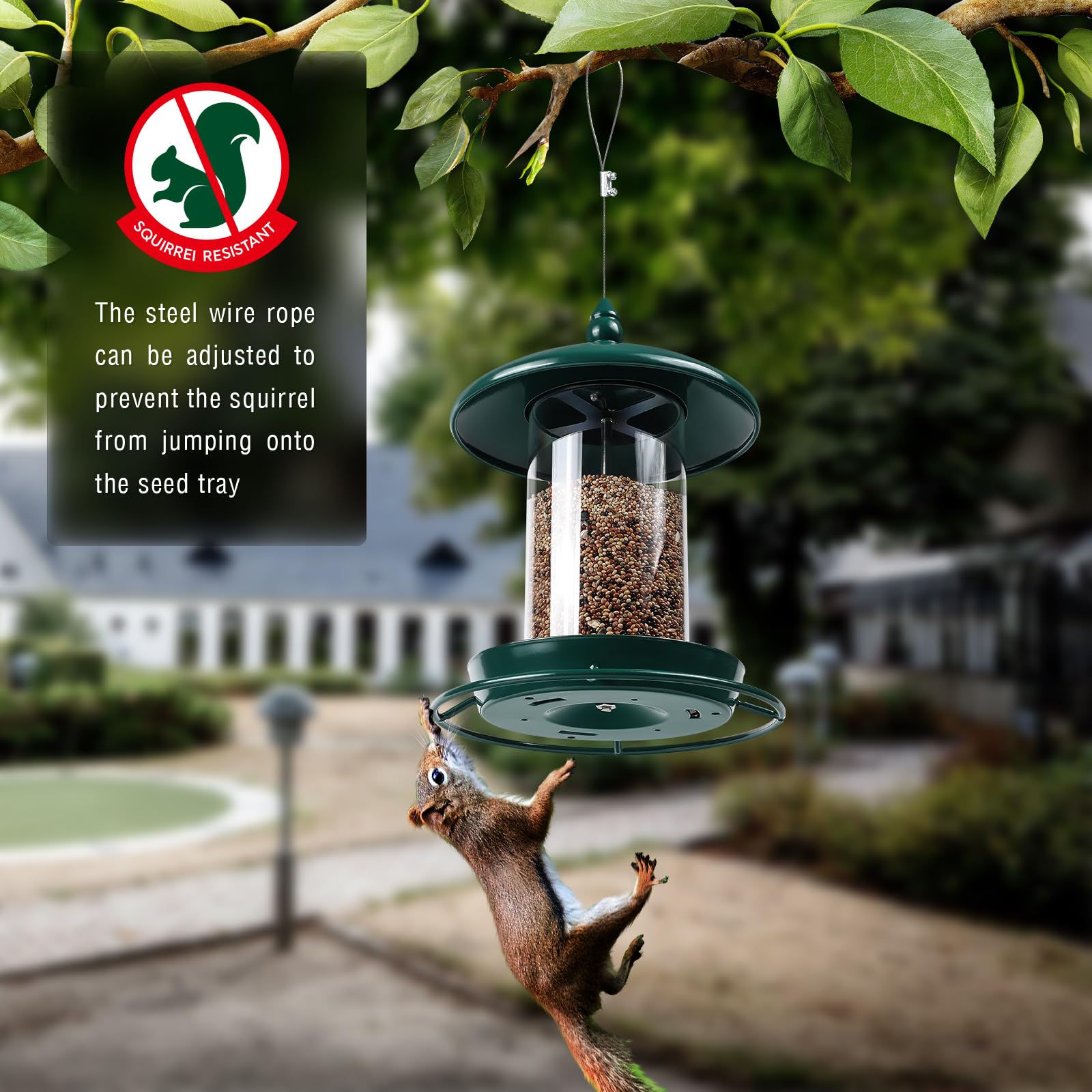 Bird Feeder for Outdoors, Small Bird Feeder, Holds 1.50LB Seeds, Suitable for Small Seed Grains, Metal Bird Feeder for Outdoors Hanging