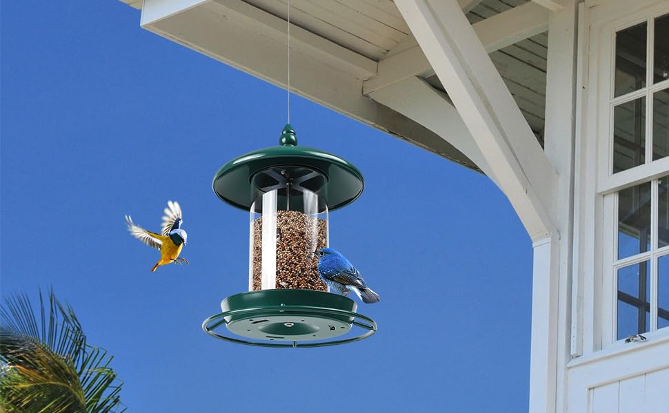 Bird Feeder for Outdoors, Small Bird Feeder, Holds 1.50LB Seeds, Suitable for Small Seed Grains, Metal Bird Feeder for Outdoors Hanging