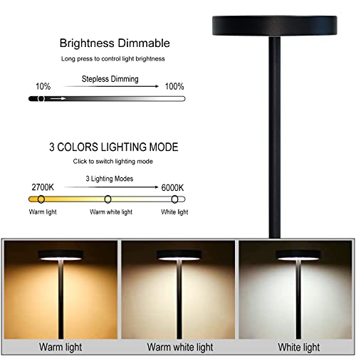 Barryca Cordless Led Table Lamp Rechargeable, Battery Operated Metal USB Desk Lamp, Portable Dimmable Outdoor Light, for Outside/Indoor/Restaurant/Home/Patio