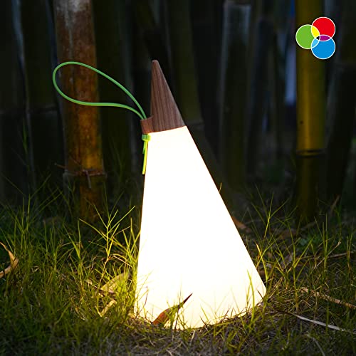 WEILAILUX Outdoor Cordless RGB Table Lamp Waterproof, Portable Battery Operated Color Changing Lantern with Remote, Dimmable Desk Night Light Rechargeable for Bedroom Patio Camping, Wood Grain & Green