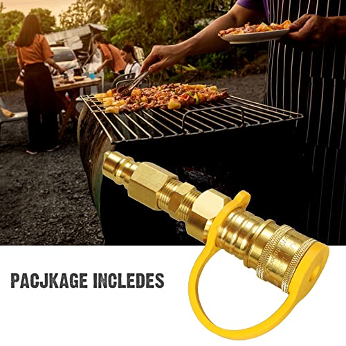 Xastro 3/8 Inch Natural Gas Quick Connect Fittings LP Gas Propane Hose Quick Disconnect Kit Propane Gas Grill Quick Connector Adapter Fitting with 3/8β Male Pipe NPT Thread x 3/8β Female Pipe Thread