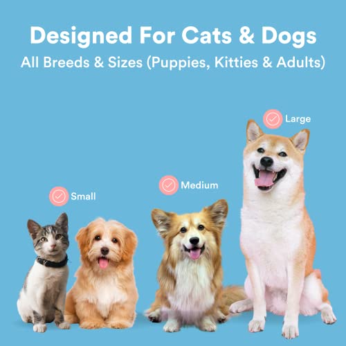 Jasper Dog Toothbrush, 360º Finger Toothbrush Kit, Ergonomic Design, Full Surround Bristles for Easy Teeth Cleaning, Dental Care for Puppies, Cats and Small Pets, Blue 2-Pack