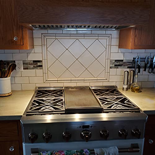 Thor Kitchen Cast Iron Griddle Plate, Double Burners Plate for Grilling, BBQ Plate on the Burner, Stove Top for THOR HRT/HRG Model Range Only, RG1032