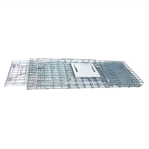 Large Collapsible Humane Live Animal Cage Trap No-Kill Trapping Kit for Humane Catch Release Rabbits, Stray Cat, Squirrel, Raccoon, Other Fit Sized Animals, Heavy Duty, 2-Door -31" x 11.5" x 12.5"