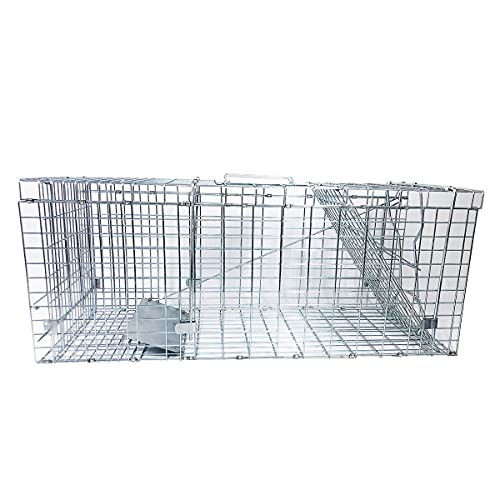 Large Collapsible Humane Live Animal Cage Trap No-Kill Trapping Kit for Humane Catch Release Rabbits, Stray Cat, Squirrel, Raccoon, Other Fit Sized Animals, Heavy Duty, 2-Door -31" x 11.5" x 12.5"