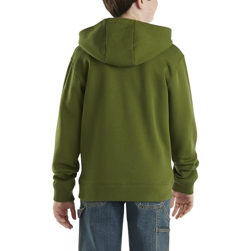 Carhartt Boys' Long-Sleeve Full-Zip Hooded Sweatshirt Hoodie, Chive Green, 12 Months