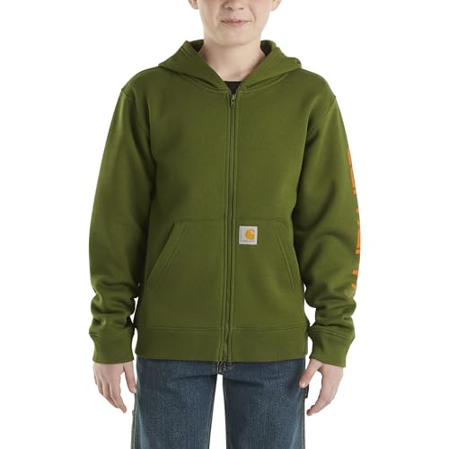 Carhartt Boys' Long-Sleeve Full-Zip Hooded Sweatshirt Hoodie, Chive Green, 12 Months