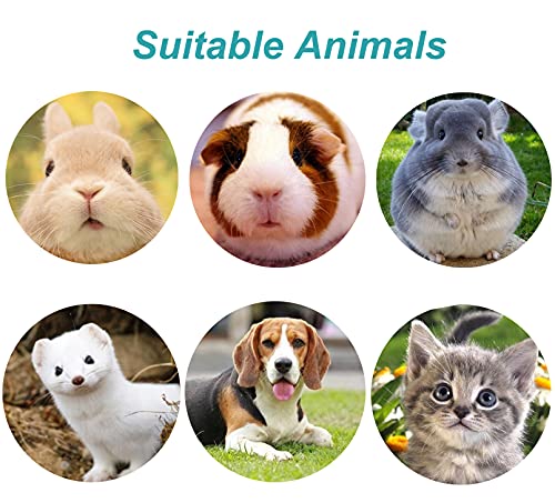 kathson Rabbit Water Bottle Bunny Food Bowl Hanging Fountain Automatic Dispenser Pet No Leak WaterFeeder Small Animals Drinking Feeder Stainless Steel Dish for Ferret Dog Cats 2PCS