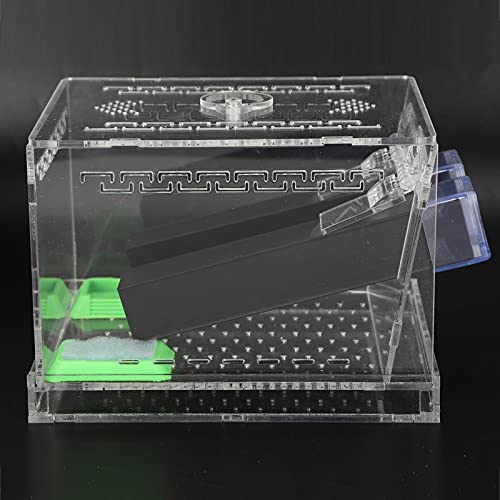 Cricket Keeper with Tubes, Easy to Equipped with Water/Food Feeding Tub Cricket Care Kit for Home for Office(L)