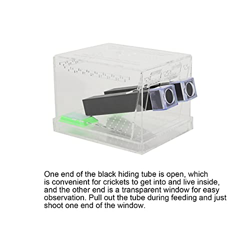 Cricket Keeper with Tubes, Easy to Equipped with Water/Food Feeding Tub Cricket Care Kit for Home for Office(L)