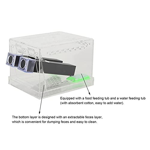 Cricket Keeper with Tubes, Easy to Equipped with Water/Food Feeding Tub Cricket Care Kit for Home for Office(L)