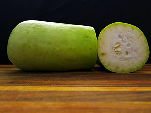 Gaea's Blessing Seeds - Bottle Gourd Seeds - Opo Squash - Non-GMO Seeds with Easy to Follow Planting Instructions - NAM Tao Yao Heirloom 94% Germination Rate