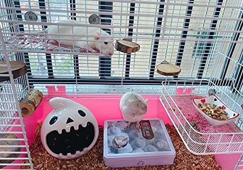WOLEDOE Rat Cage Platform, All-Metal Basket Chew-Proof Design, Chinchilla Toys and Cage Accessories Ledge Ramp fit Ferret, Guinea Pig, Sugar Glider