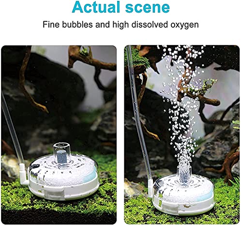 UPETTOOLS Mini Aquarium Sponge Filter,Small Internal Fish Tank Filter Sui for 2-6 Gallon Tank