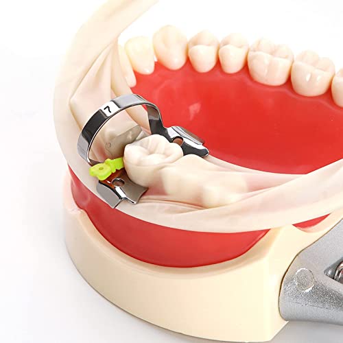 DAMUZHI Orthodontic Matrix Wedges Dental Prime Teeth Interproximal Wedge Guard With Metal Plastic Wedge Knife With Protection Dental Steel 3box 50Pcs/box