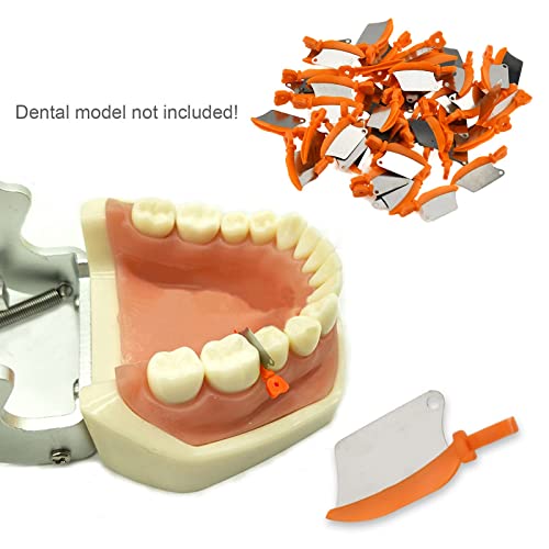 DAMUZHI Orthodontic Matrix Wedges Dental Prime Teeth Interproximal Wedge Guard With Metal Plastic Wedge Knife With Protection Dental Steel 3box 50Pcs/box