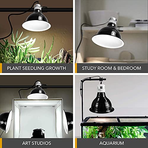 Simple Deluxe 50W Reptile Ceramic Heat Bulb No Light Emitting with 5.5 Inch 60W Dome Light Clamp Lamp Fixture and Digital Thermostat Controller, for Incubating Chicken & Amphibian Pet
