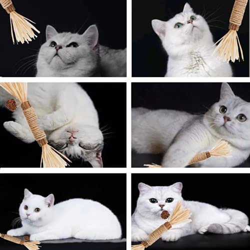 Grembeb Cat Toys Silvervine Chew Stick,Kitten Treat Catnip Toy 10Pack Kitty Natural Stuff with Catnip for Cleaning Teeth Indoor Dental Snack Interactive Exercise Hamster Chinchilla Gerbil Rabbit Bunny