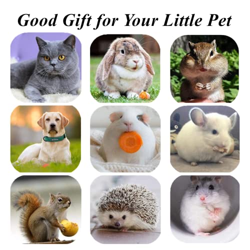 Grembeb Cat Toys Silvervine Chew Stick,Kitten Treat Catnip Toy 10Pack Kitty Natural Stuff with Catnip for Cleaning Teeth Indoor Dental Snack Interactive Exercise Hamster Chinchilla Gerbil Rabbit Bunny