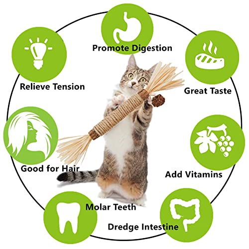 Grembeb Cat Toys Silvervine Chew Stick,Kitten Treat Catnip Toy 10Pack Kitty Natural Stuff with Catnip for Cleaning Teeth Indoor Dental Snack Interactive Exercise Hamster Chinchilla Gerbil Rabbit Bunny