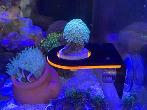 Fluorescent Green Coral Frag Holder Acrylic Coral Rack with Powerful Suction Cup and Placstic Screws Suitable for Household Fish Tanks (2pcs 1 Plug Hole Green+Orange)