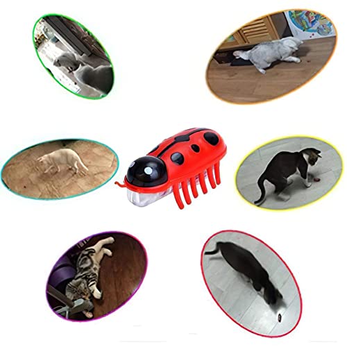 2Pcs Mini Electric Robot Beetle, Interactive Cat Toy Excites & Entices Cats Cuddling Chasing Fun, Realistic Beetle Vibrating Wings, Cat Bug Educational Toy for Indoor Cats Kitten Play Chase Exercise