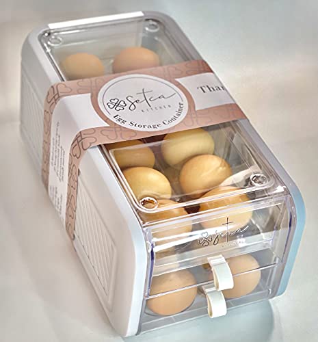Generic Egg Holder/Container for Refrigerator, Large Capacity, High Quatily, Fresh MultiLayer Box Fridge for Chicken Egg, Storage Kitchen Organization, Chic Design (Gray, Medium 2-Layer 24 eggs)