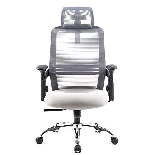Ergonomic Mesh Office Chair,High Back Desk Computer Chair Adjustable Neck Head,Armrest Reclining Chair for Home Office (Grey1)